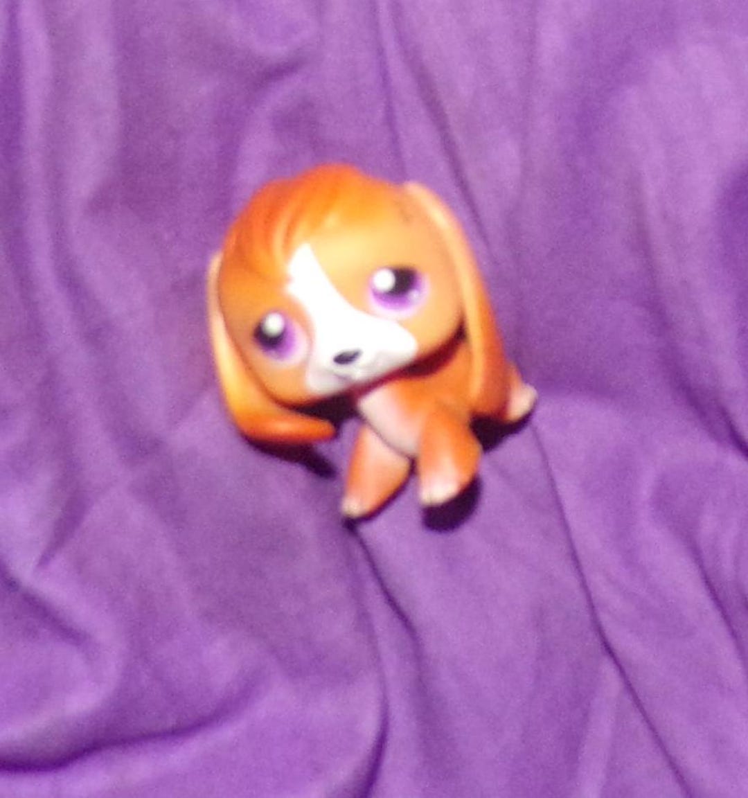 Littlest Pet Shop LPS 16 Orange Beagle Puppy Purple Lilac Eyes Rare ...