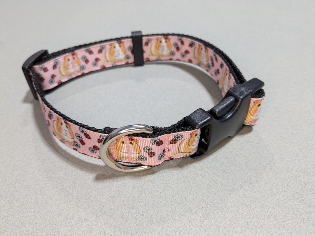 Ladybug Dog Collar: 1-inch Adjustable, Guinea Pig/hamster Pet Collar, 1 ...