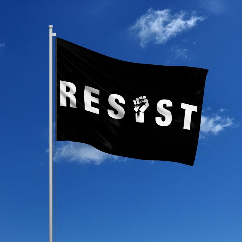 Horizontal No Ice Flag - Etsy