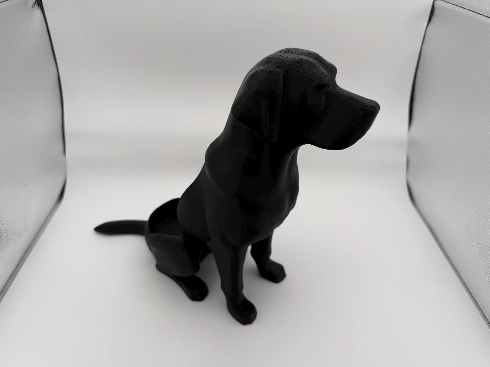 Black Lab Wine & Scotch Bottle Holder - Etsy