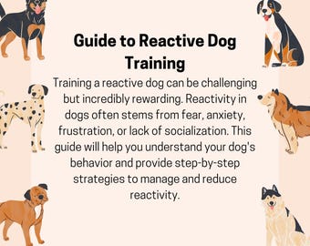 Guide to Reactive Dog Training - Etsy