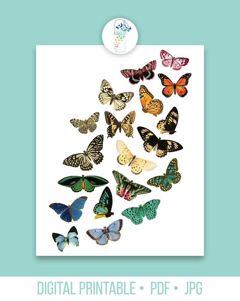 Multi-colored Butterflies Printable Art - Etsy