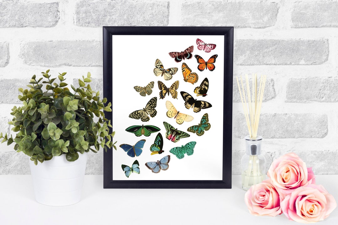Multi-colored Butterflies Printable Art - Etsy