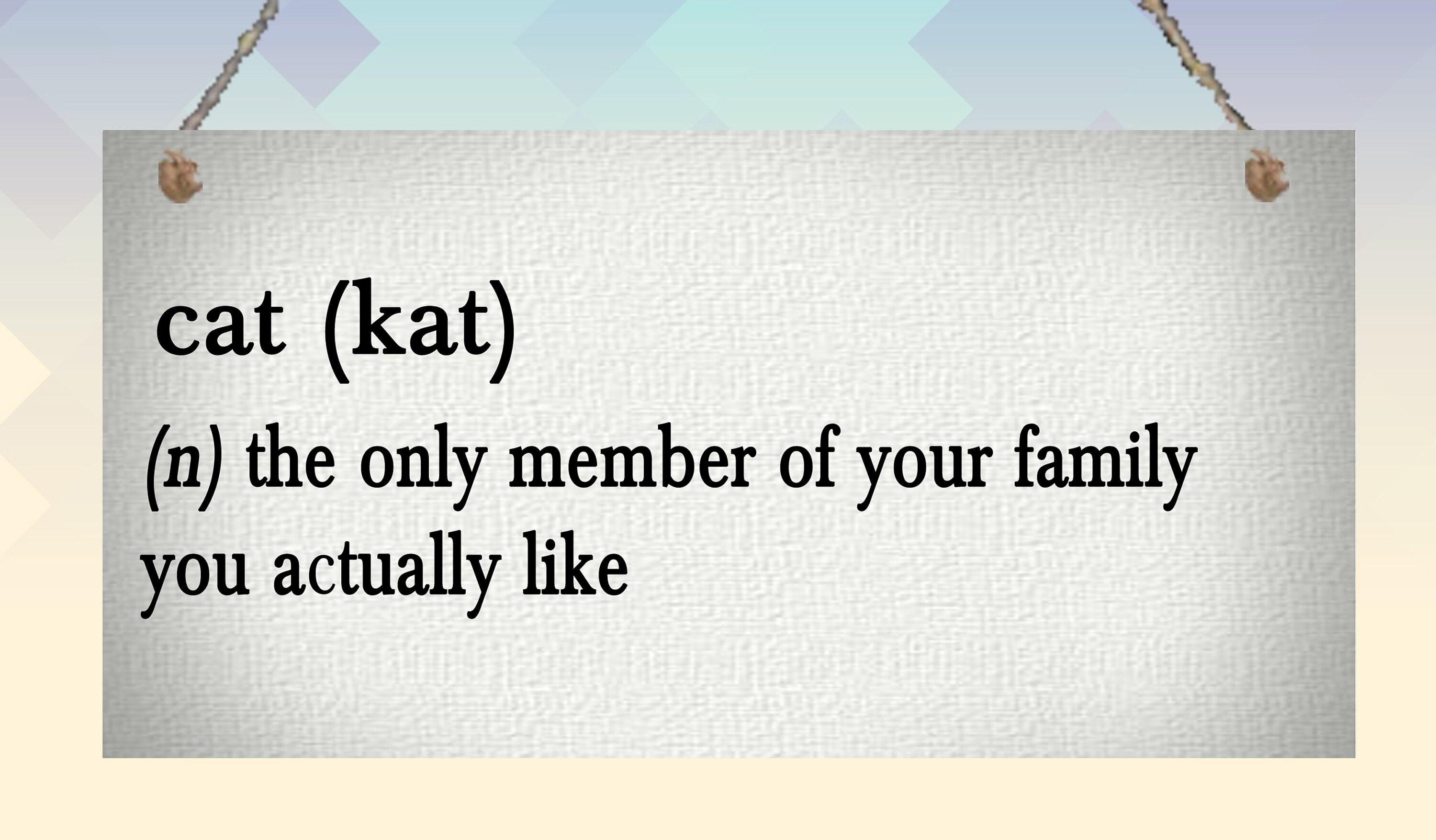 Cat Definition Funny Metal Hanging Wall Plaque Gift Present Birthday ...