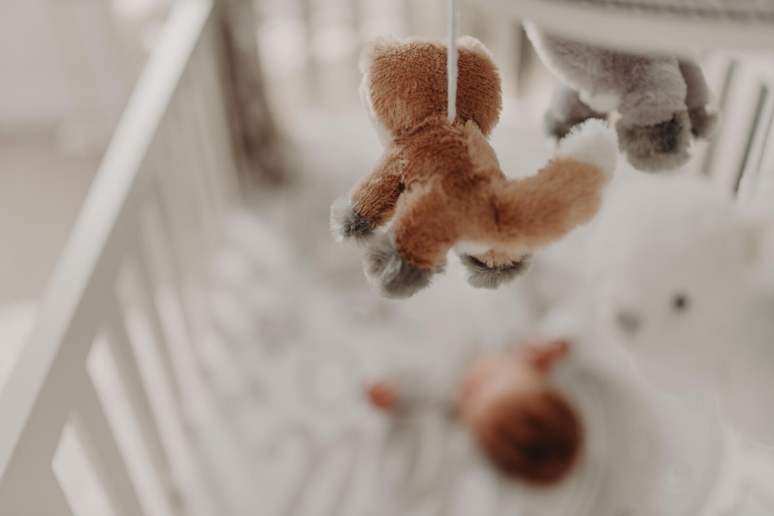 10 Stock Photos of Newborn and Dad - Etsy