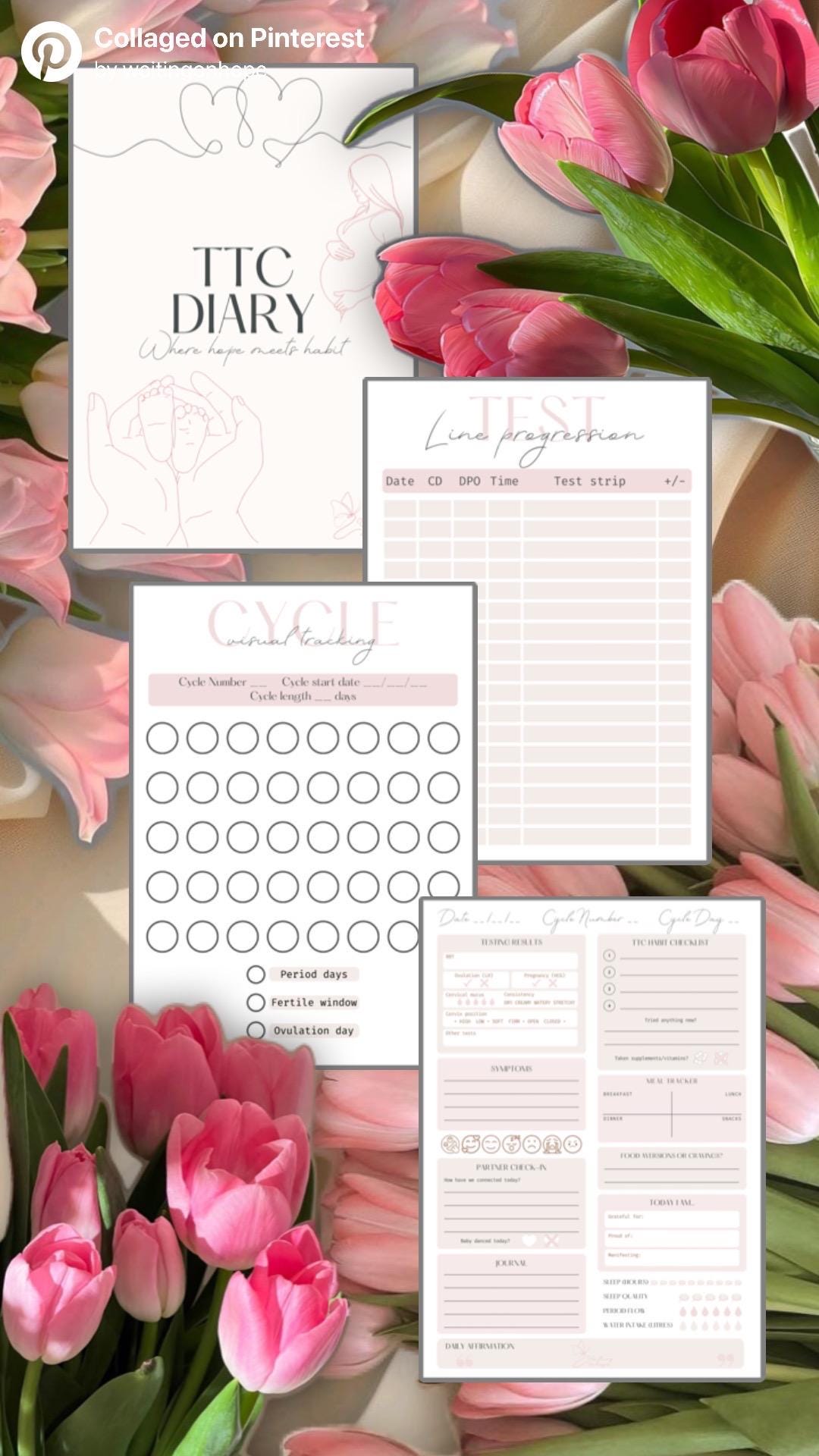 FULL DIARY - Where Hope Meets Habit - TTC Diary - Etsy
