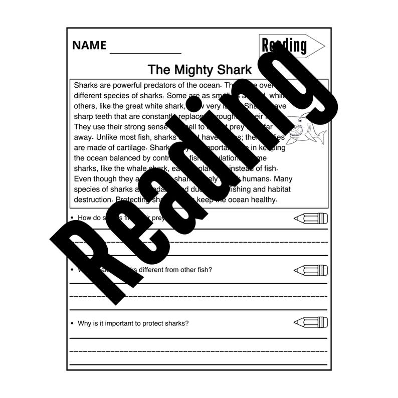 Marine Animals Reading Comprehension Passages Questions Text Evidence Writing Worksheets - Etsy