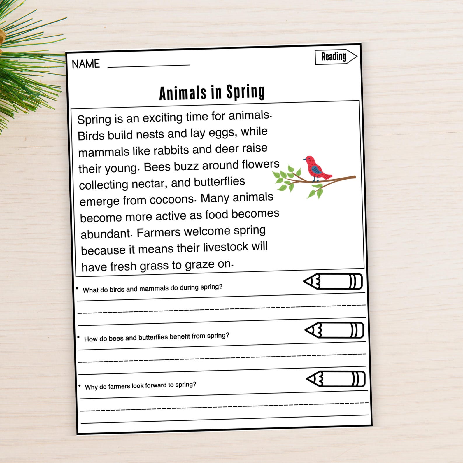 Spring Reading Comprehension Passages Worksheets Questions Writing Text ...