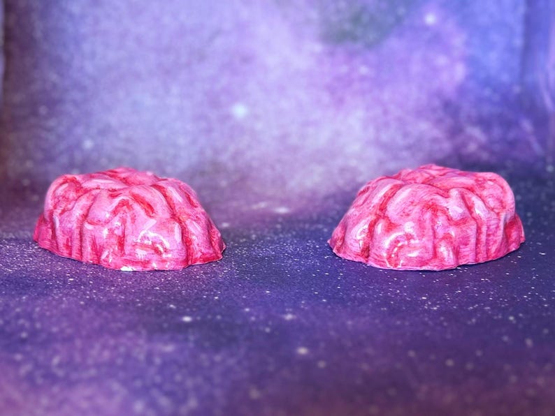 Ecoresin Brain Paperweight – Mini Brain Accent Piece – Perfect Science ...