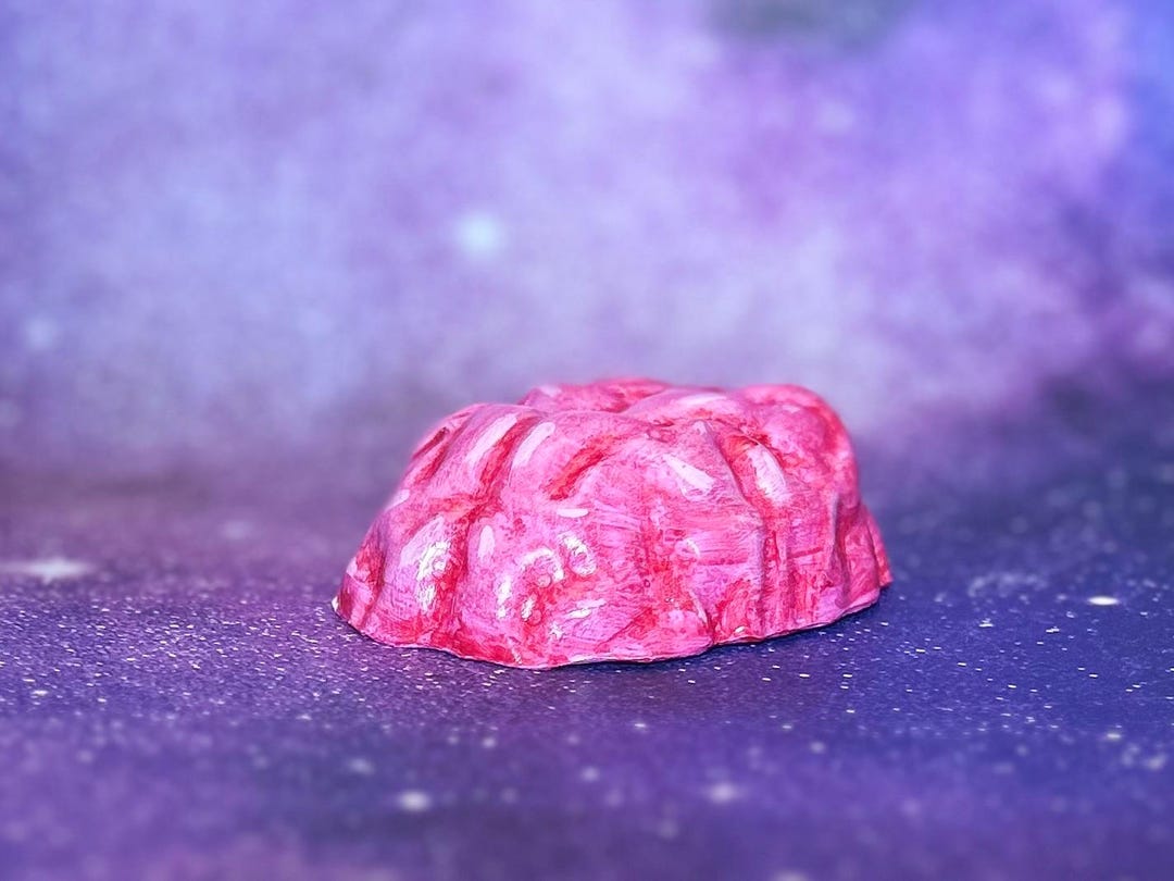 Ecoresin Brain Paperweight – Mini Brain Accent Piece – Perfect Science ...