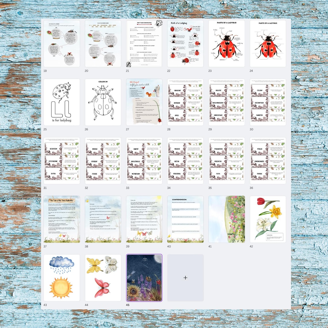 Bugs Unit Study Printable for Kids Insect Sorting Matching Craft Puppet ...