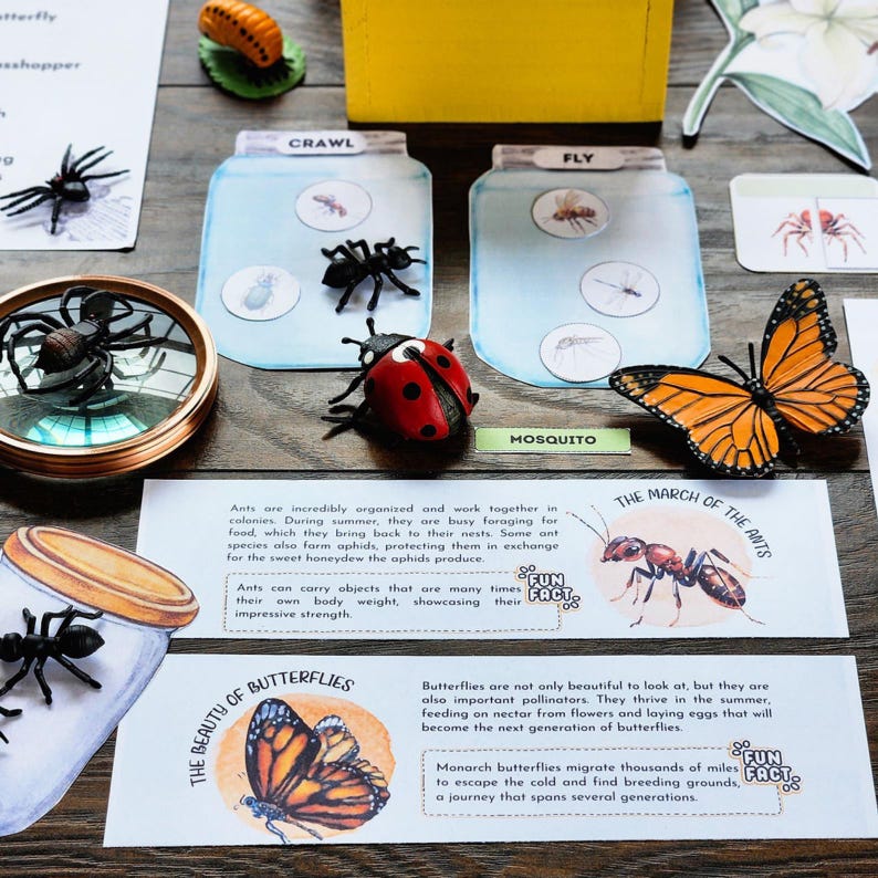 Bugs Unit Study Printable for Kids Insect Sorting Matching Craft Puppet ...