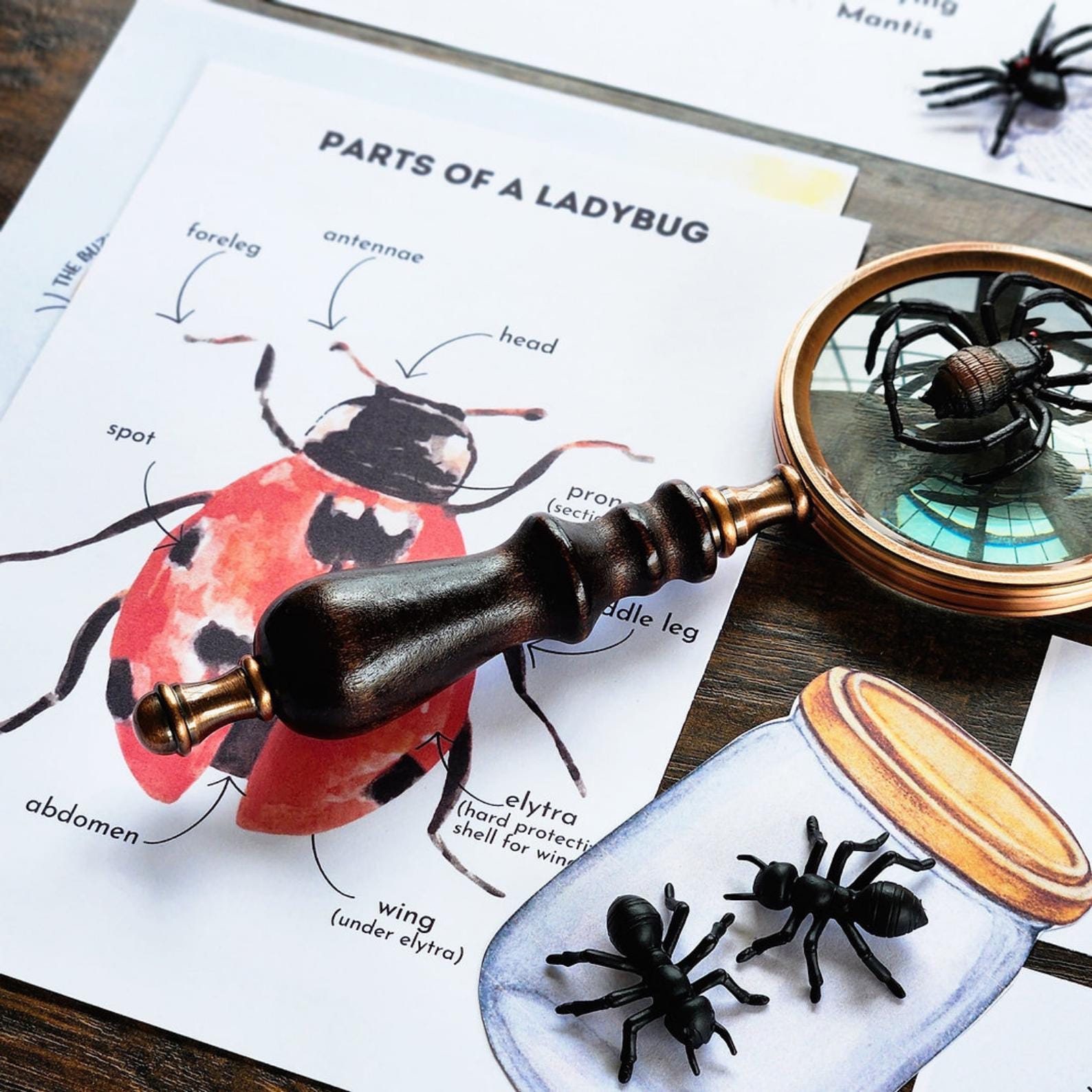 Bugs Unit Study Printable for Kids Insect Sorting Matching Craft Puppet ...