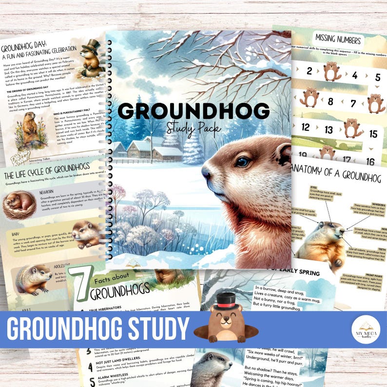 Groundhog Day Study Pack: Printable Learning Activities (ages 3-10 ...