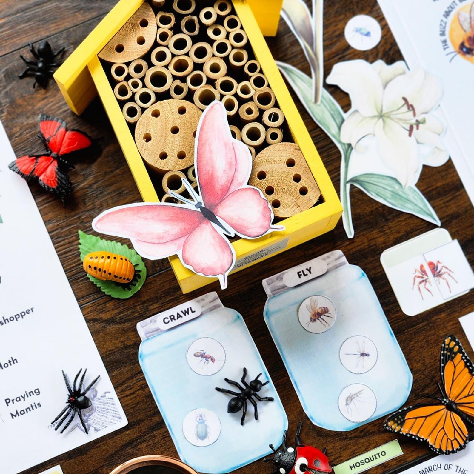 Bugs Unit Study Printable for Kids Insect Sorting Matching Craft Puppet ...