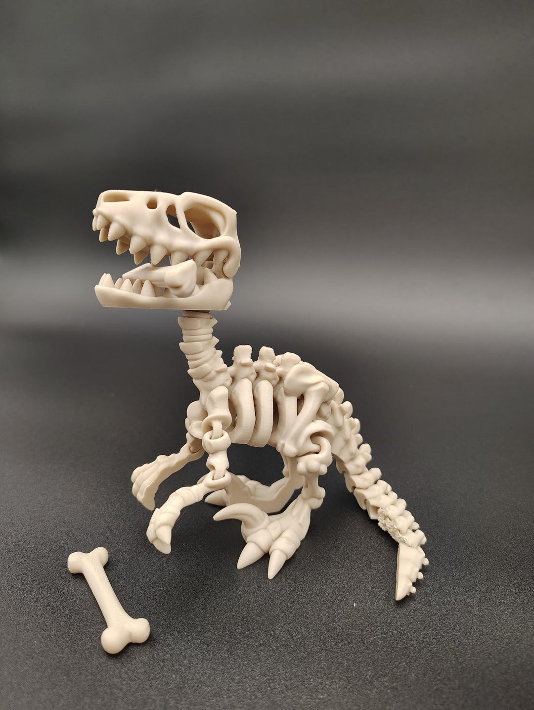 Articulated Skeleton Raptor, Eco-friendly, 3D Printed Raptor - Etsy