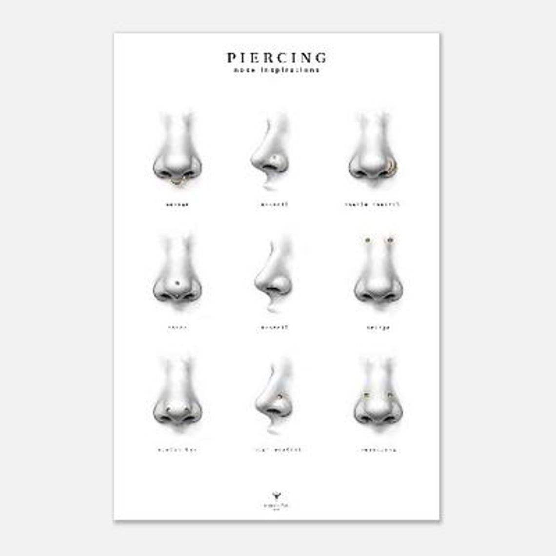 Nose Piercing Placement Guide Poster - Stunning Tattoo or Beauty Studio ...