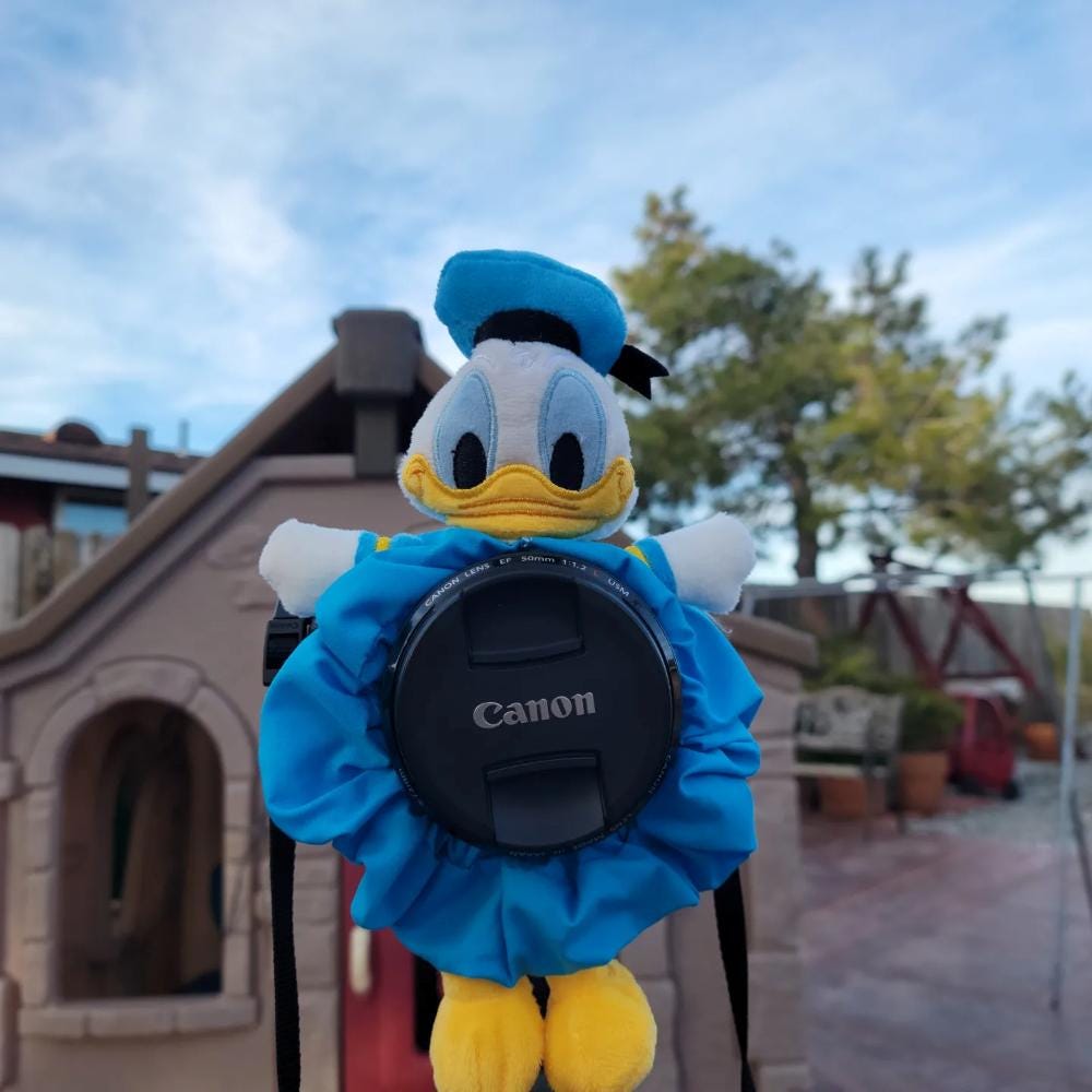Donald Duck Shutter Hugger - Etsy