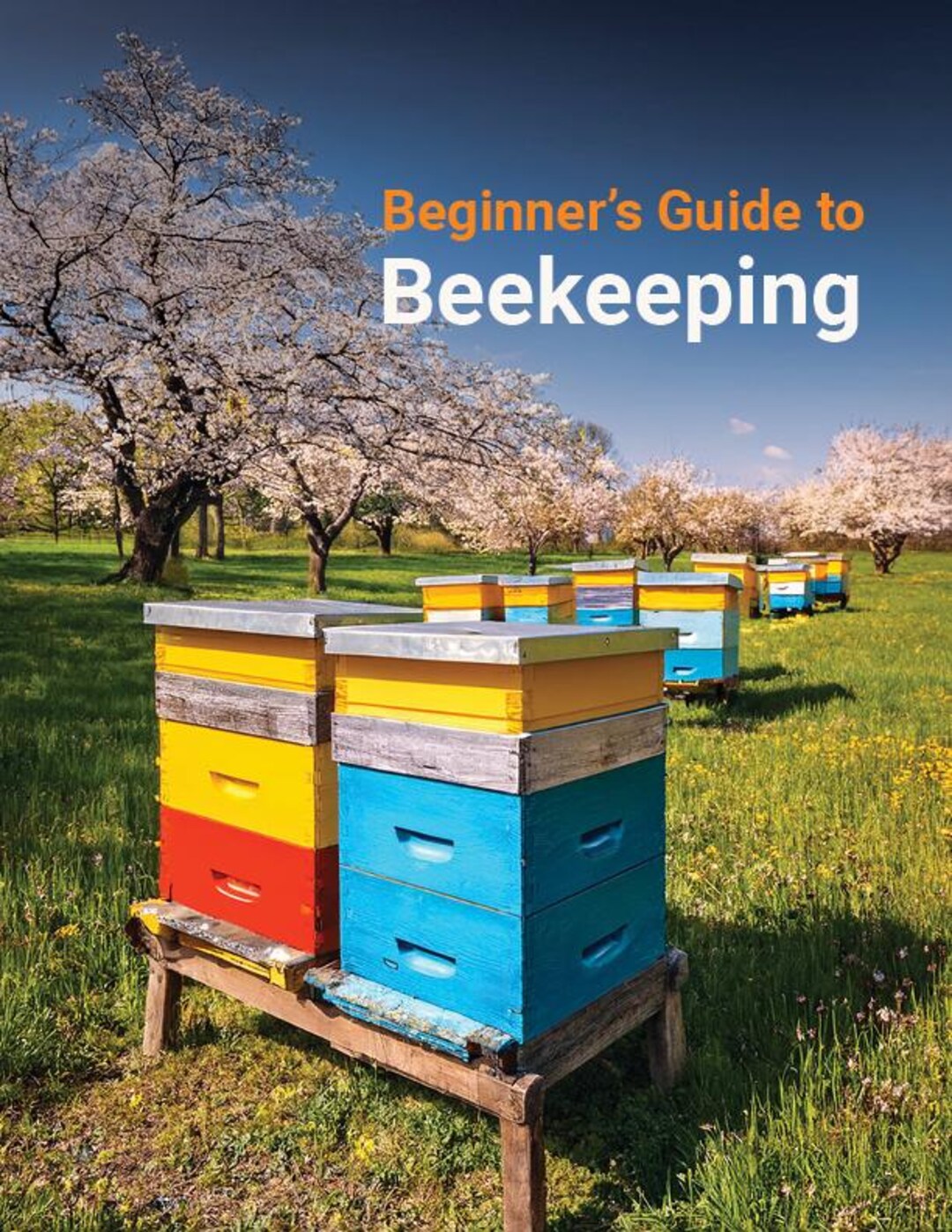 Beginner's Guide to Beekeeping - Etsy