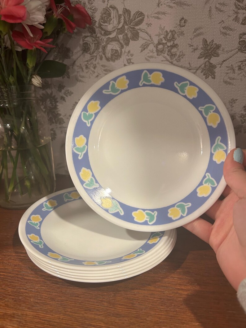 SET OF 6 | Corelle Primavera Pattern Vintage Tulip Spring Flower Small ...