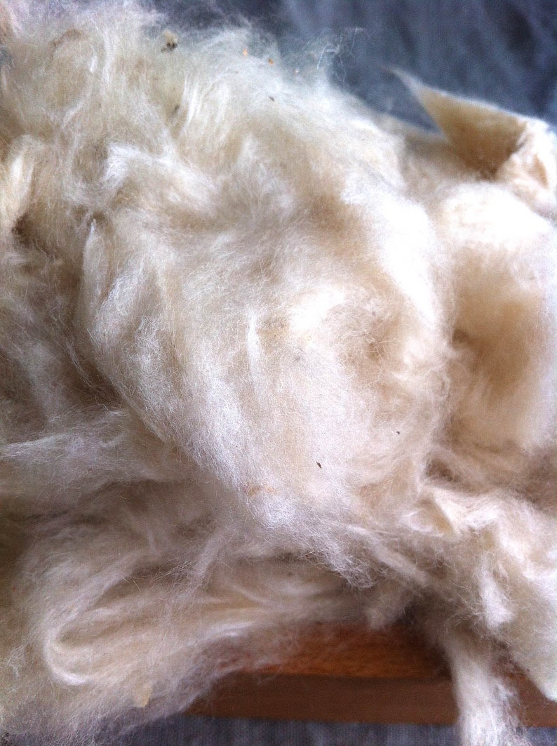 Kapok Fibre for Stuffing, 100% Natural, Java Cotton, Silk-cotton ...