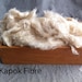 Kapok Fibre for Stuffing, 100% Natural, Java Cotton, Silk-cotton ...
