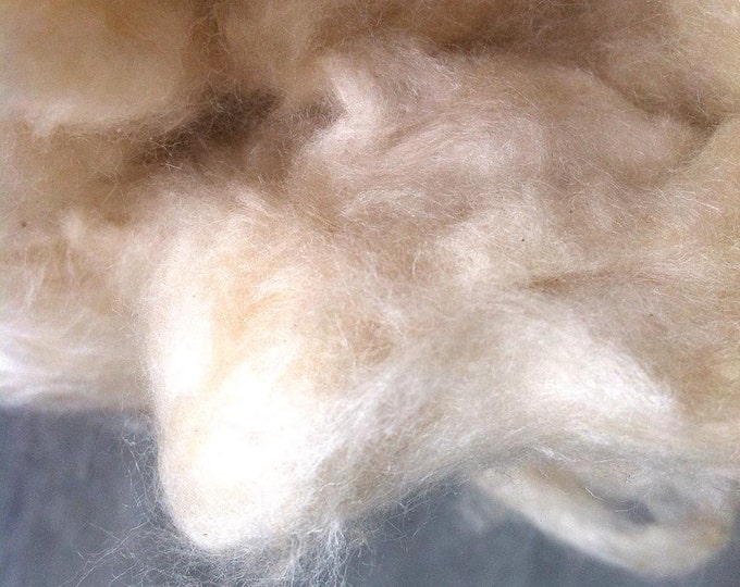 Kapok Fibre for Stuffing, 100% Natural, Java Cotton, Silk-cotton ...