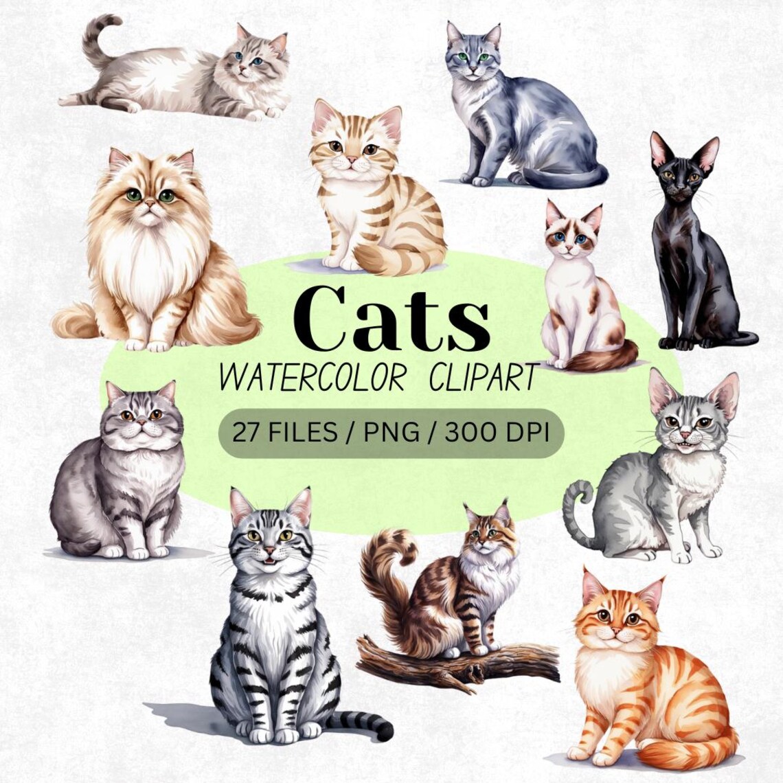 Watercolor Cat Clipart Bundle | 27 PNG Illustrations (300 DPI) - Etsy