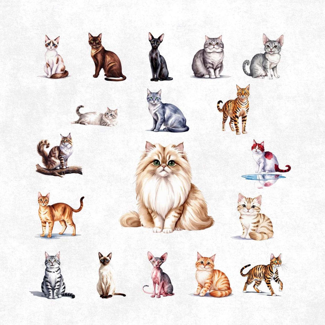 Watercolor Cat Clipart Bundle | 27 PNG Illustrations (300 DPI) - Etsy