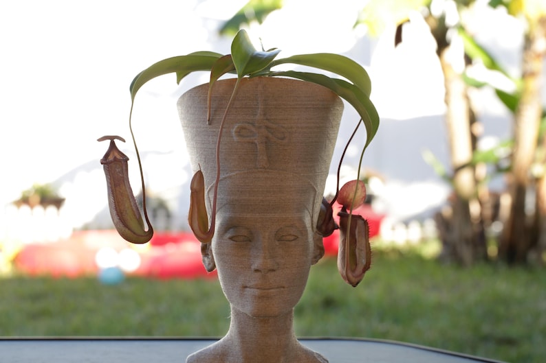 3D Printed Nefertiti Bust Planter, Decorative Sculpture Plant Pot ...