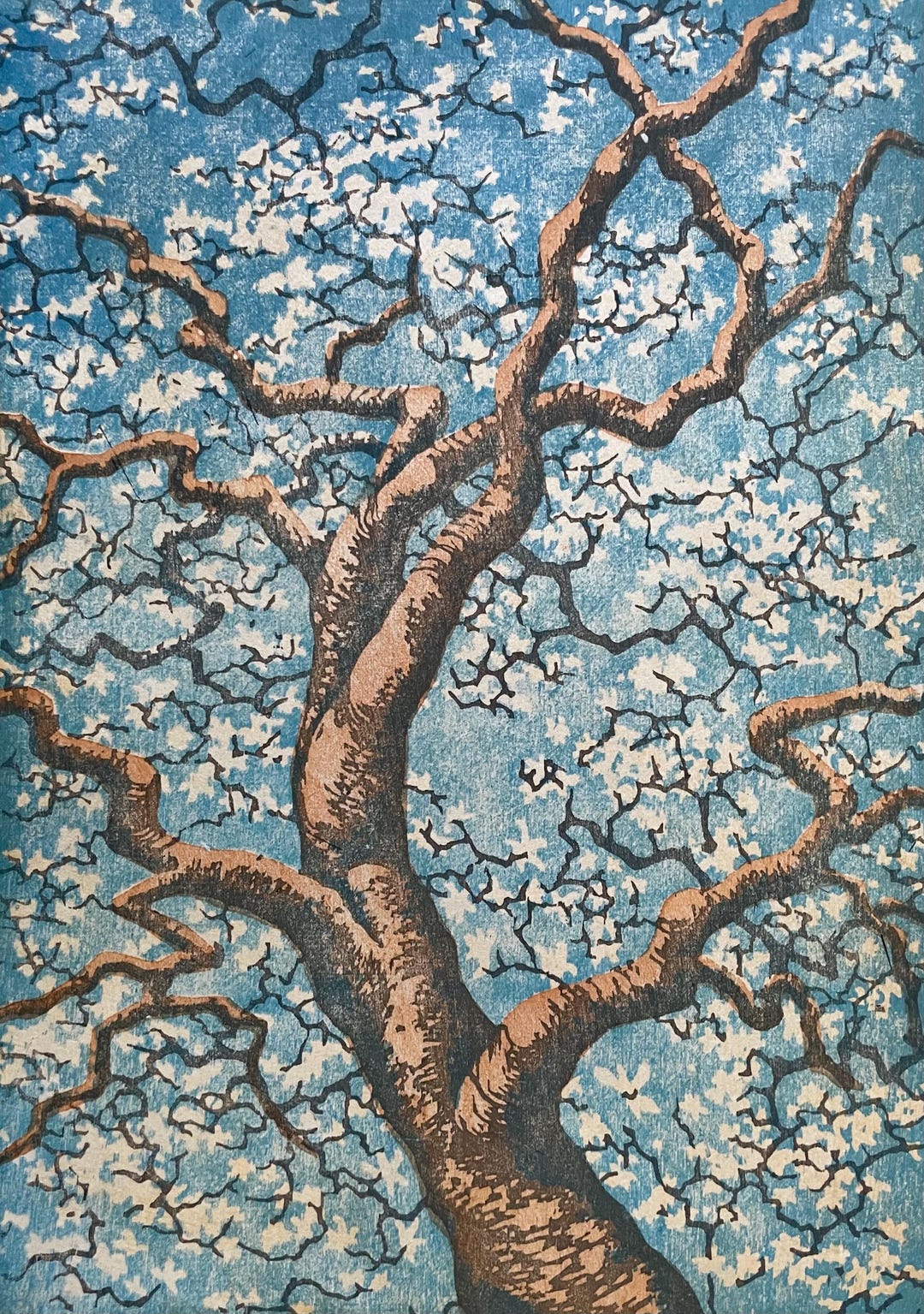 Woodblock Print Tree No. 34 Original Hand Pulled Moku Haga Fine Art ...