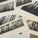Original Monotype Forest Landscape Hand Pulled Fine Art Print - Etsy