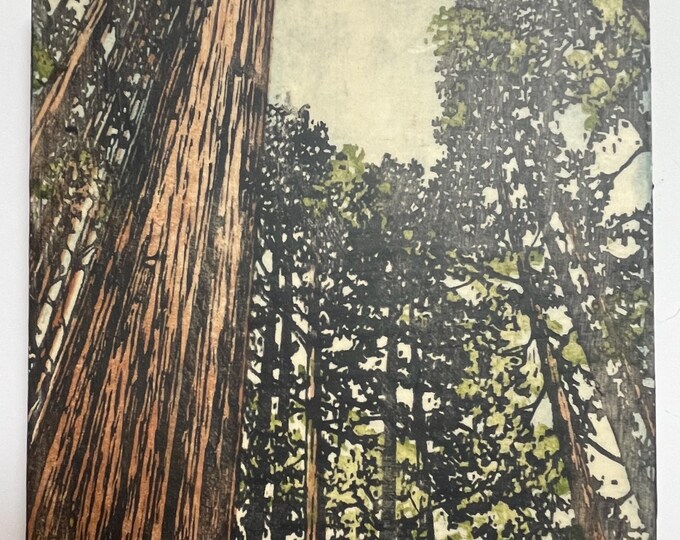 Mounted Woodblock Tree Fine Art Print - Ready to Hang - Etsy