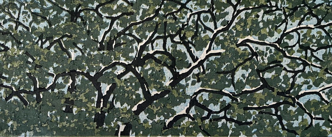 Woodblock Print Tree No. 44 Woodblock Reduction Print, Limited Edition ...
