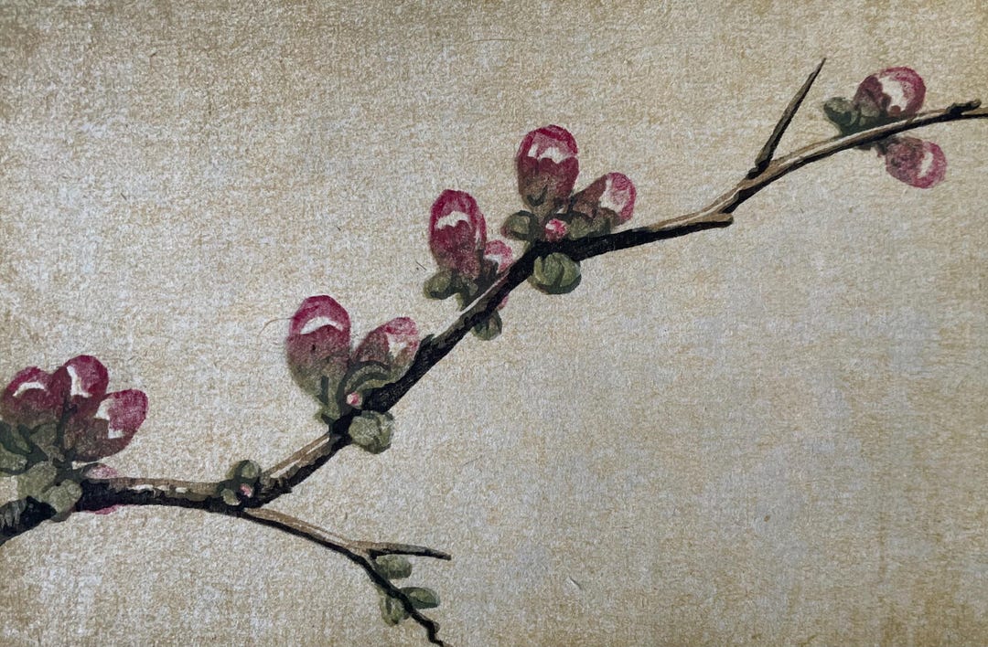 Original Woodblock Reduction Print - Quince No. 1 Hand-pulled Woodblock ...