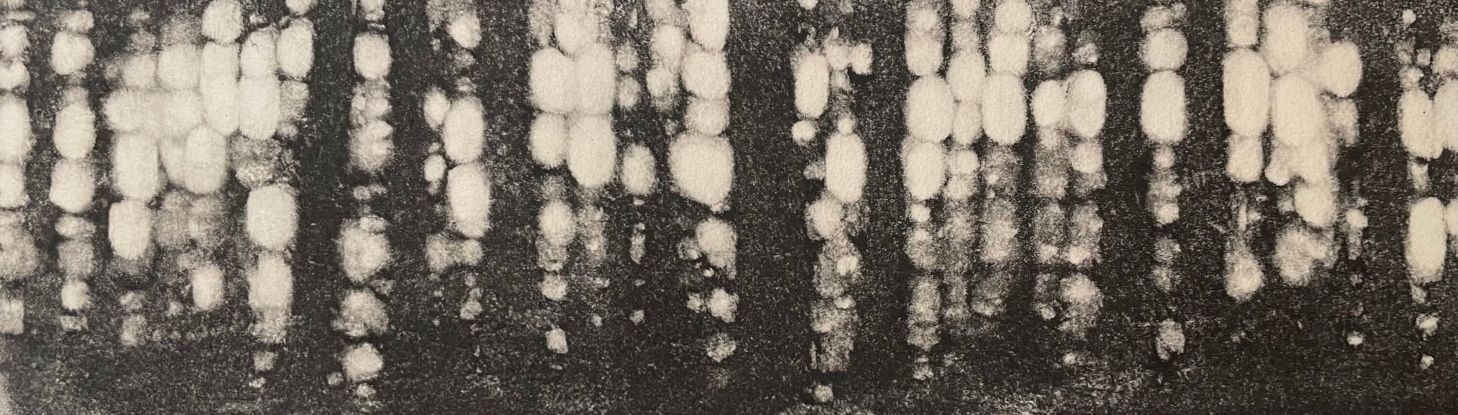 Original Monotype Forest Landscape Hand Pulled Fine Art Print - Etsy