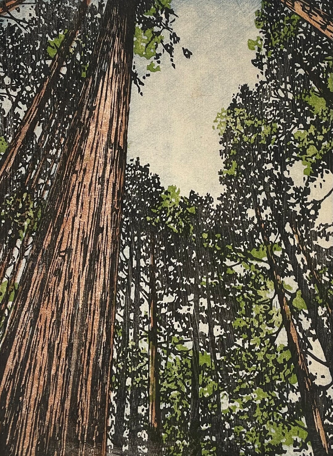 Woodblock Print - Forest No. 19 V. 2 Moku Hanga Limited Edition Hand ...