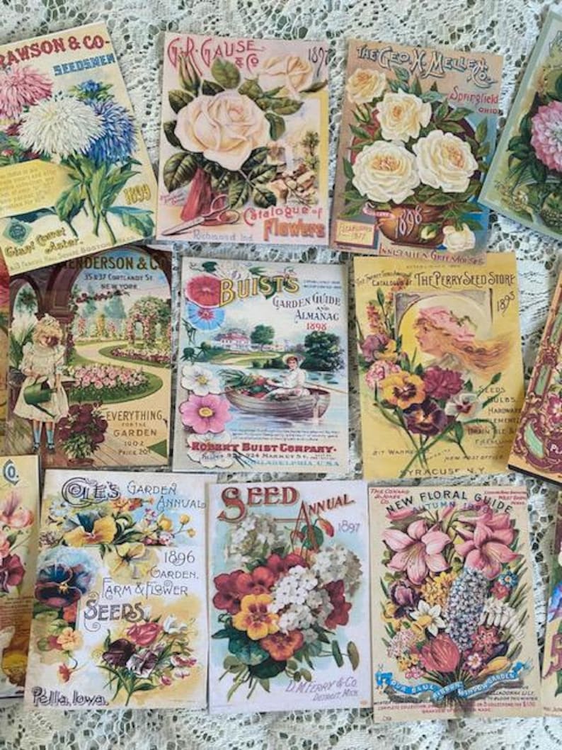 Vintage Seed Packet-vintage Gardening-die Cuts-24 Pretty Images- Die ...