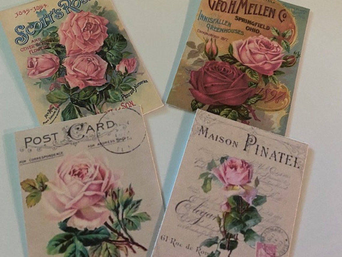 Rose Seed Packet Die Cuts-24 Shabby Roses-4 Styles Die - Etsy Hong Kong