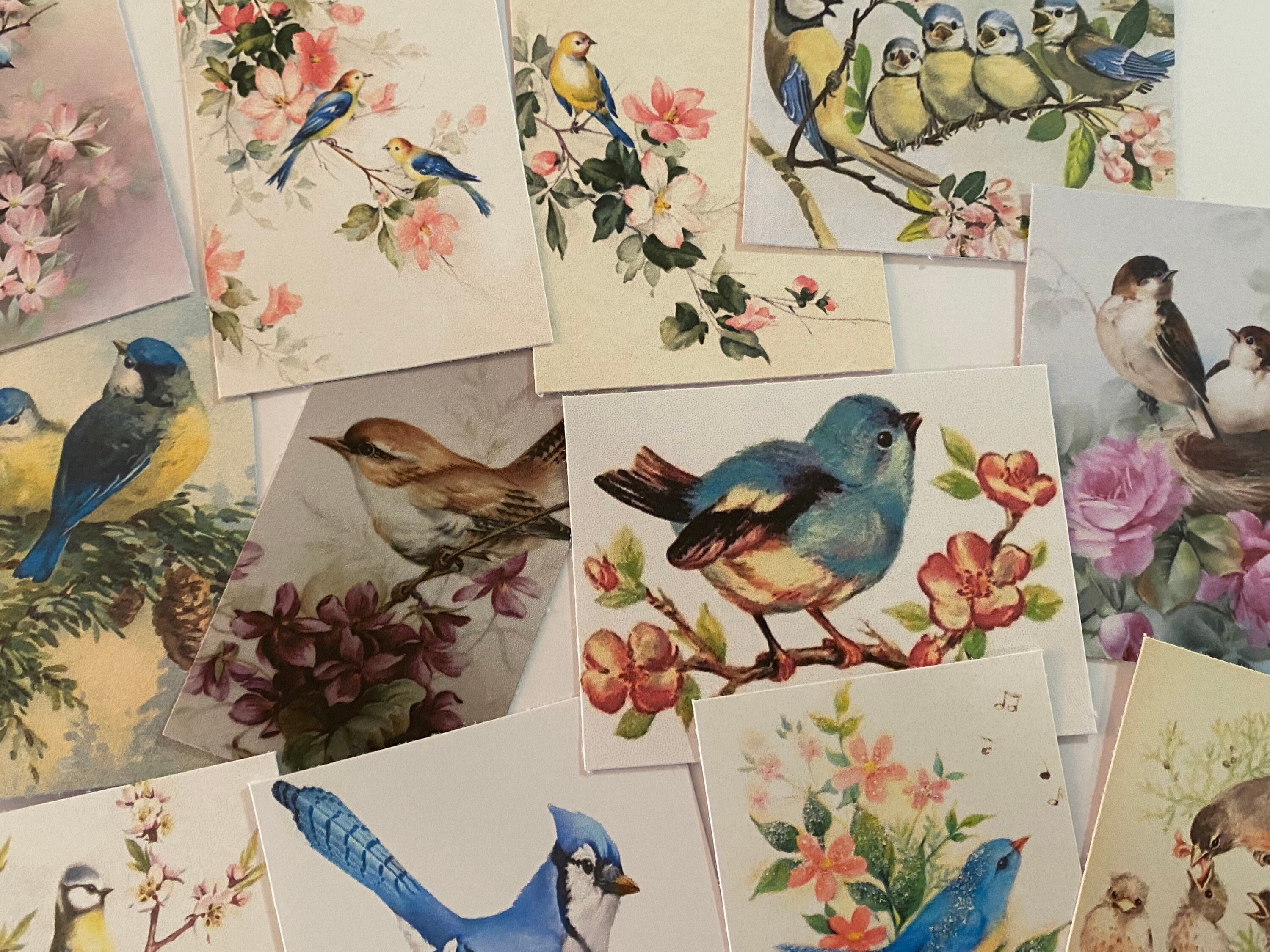 Vintage Style Birds-cards/die Cuts/gift Tags 40 Piece Sweet - Etsy
