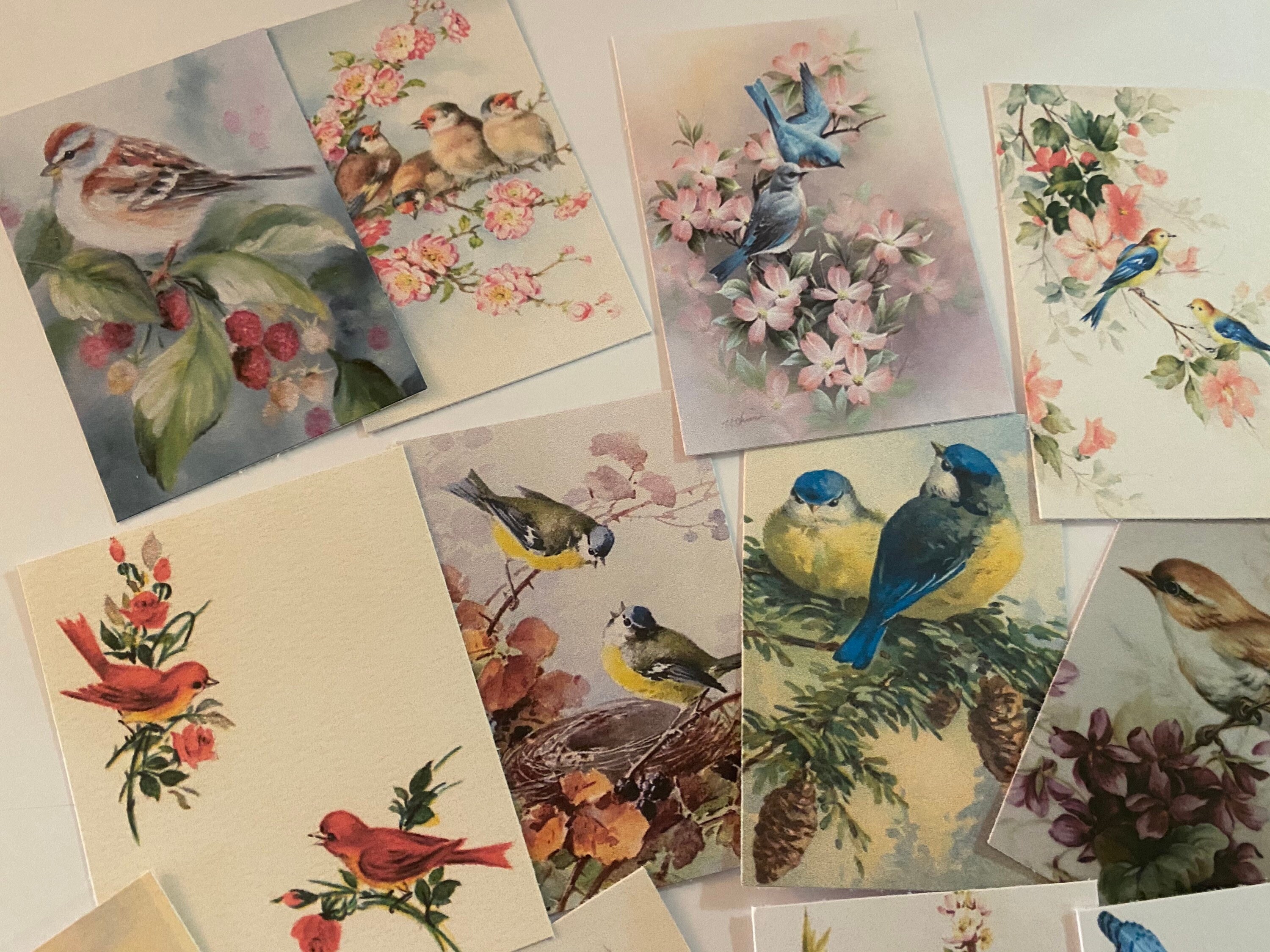 Vintage Style Birds-cards/die Cuts/gift Tags 40 Piece Sweet - Etsy