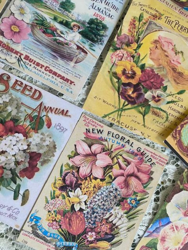 Vintage Seed Packet-vintage Gardening-die Cuts-24 Pretty Images- Die ...