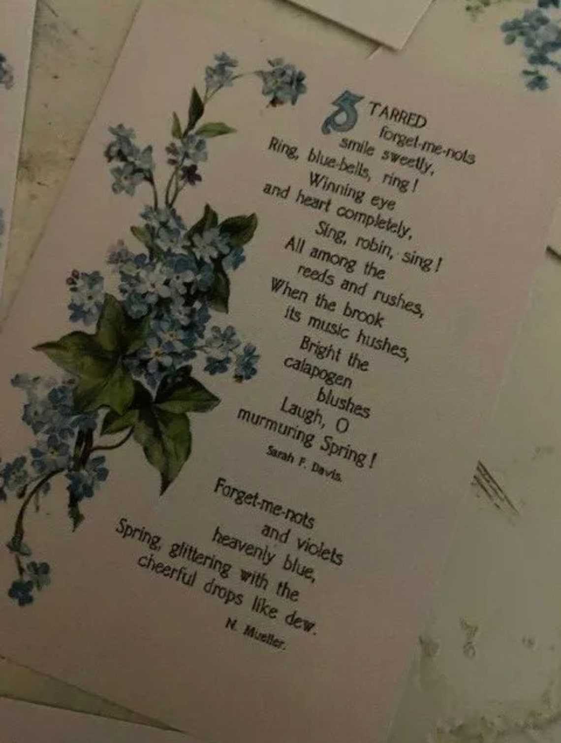 Vintage Style Die Cuts/gift Tags-forget Me Not Floral~so Pretty-card ...