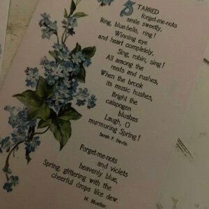 Vintage Style Die Cuts/gift Tags-forget Me Not Floral~so Pretty-card ...