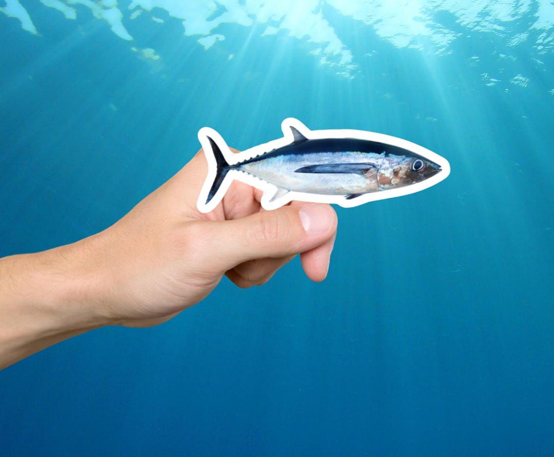Blackfin Tuna Sticker Vinyl Decal, Fishing Ocean Offshore Fish Decal ...