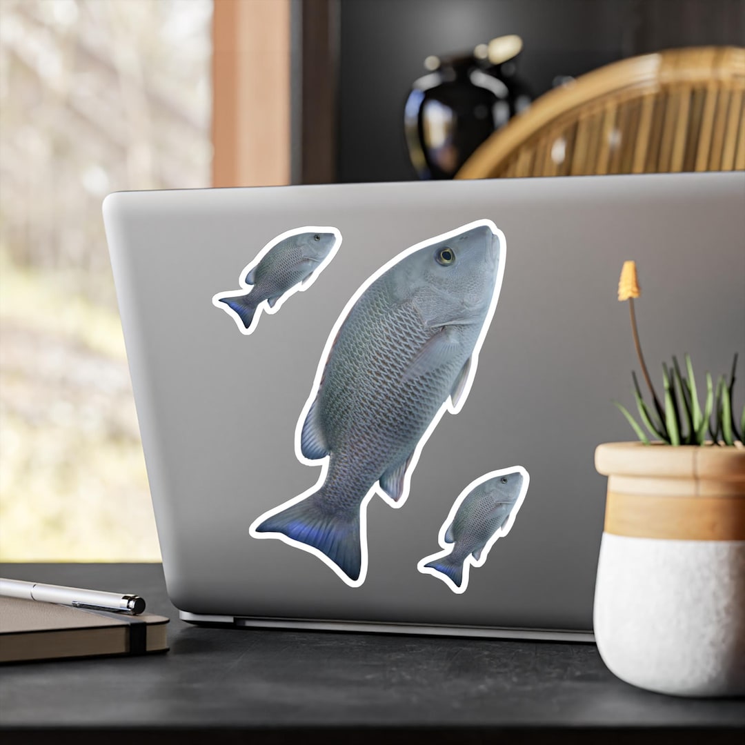 Mangrove Snapper Fish Vinyl Decal, Waterproof Laptop Sticker - Etsy ...