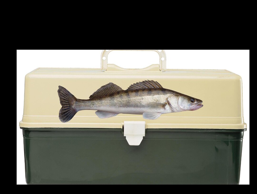 Walleye Fishing Decal – Waterproof Vinyl Sticker for Boats, Tackle ...