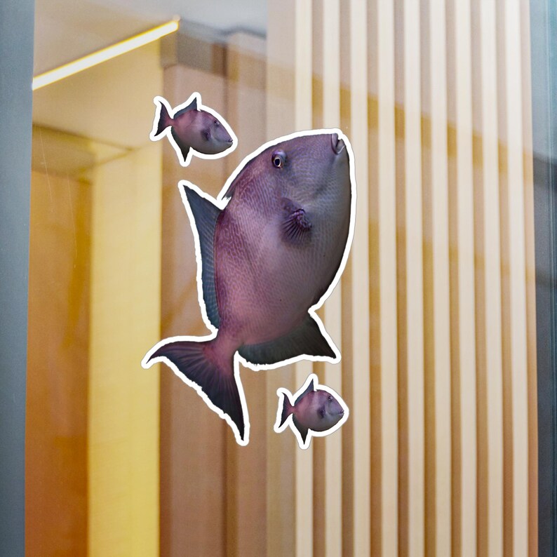 Realistic Trigger Fish Vinyl Decal | Nautical Home Decor - Etsy