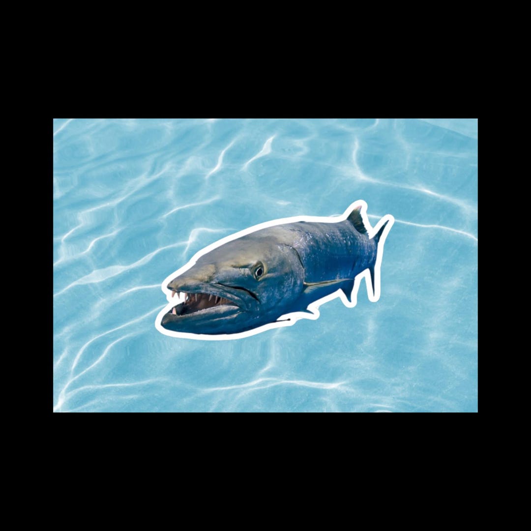 Barracuda Kiss-cut Vinyl Decal, Ocean Predator Sticker - Etsy