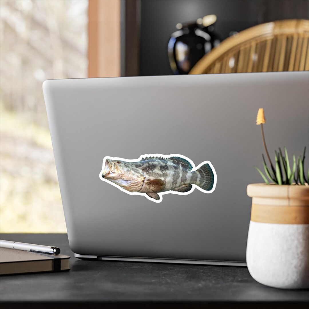 Goliath Grouper Decal Sticker - Vinyl Kiss-cut for Laptops, Water ...